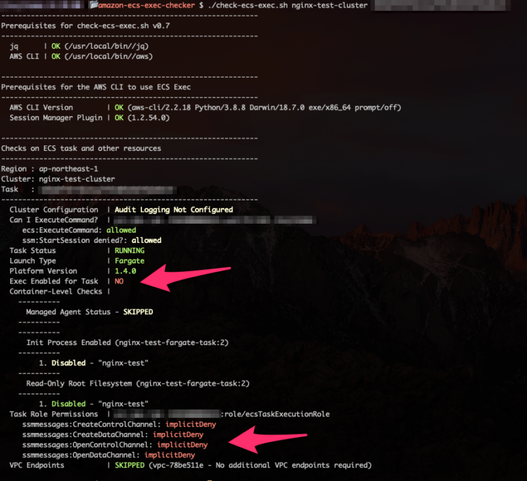 Amazon ECS Execを使ってコンテナ内部でコマンド実行してみた [amazon-ecs-exec-checker] | クラウド・AWSのIT技術者向けブログ SKYARCH ...